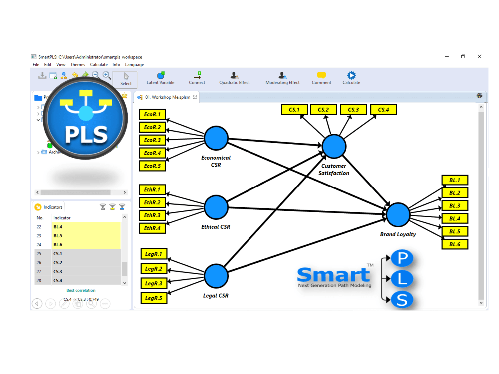 Data analysis by using MS Excel, SmartPLS, IBM SPSS, IBM AMOS | Upwork