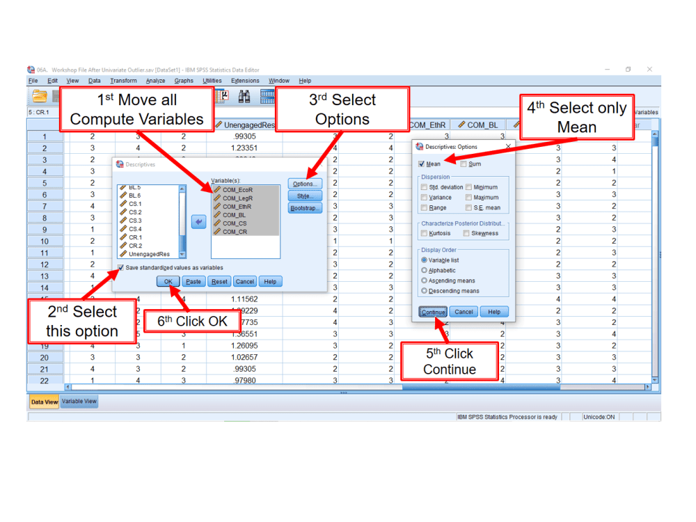 Data analysis by using MS Excel, SmartPLS, IBM SPSS, IBM AMOS | Upwork