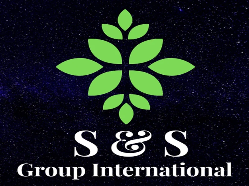 A revamped resume tailored to your valuable business | Upwork