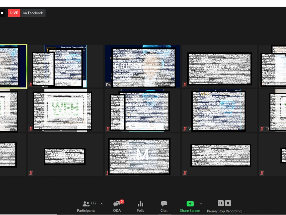 A customized zoom virtual event & tech support for your meeting/webinar ...