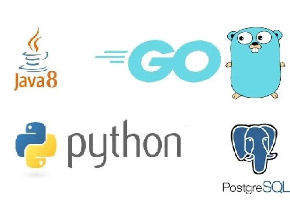 Python or golang source code for your project | Upwork