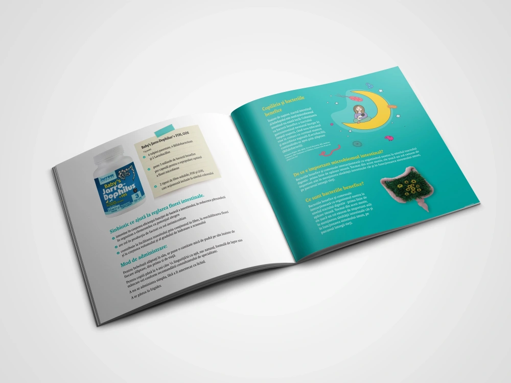 A Professional Magazine / Catalog / Book / Document design | Upwork