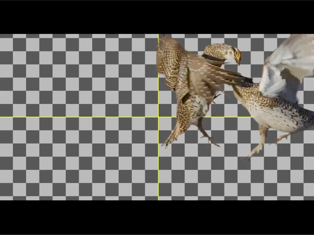 VFX Compositing/ Roto Paint .Artist | Upwork