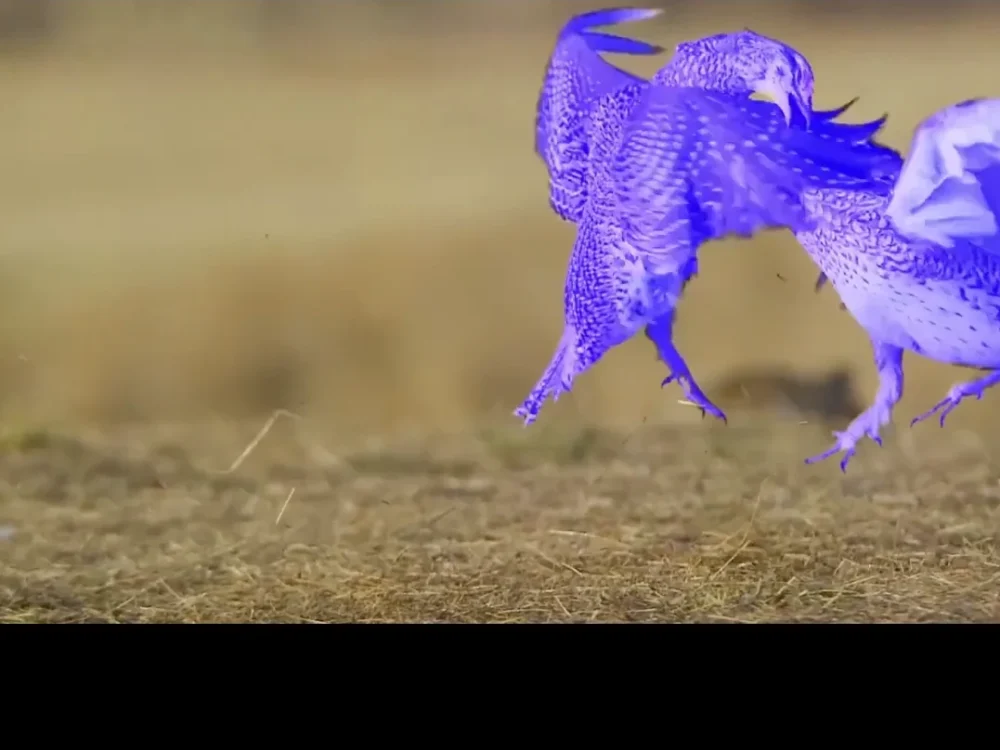 VFX Compositing/ Roto Paint .Artist | Upwork