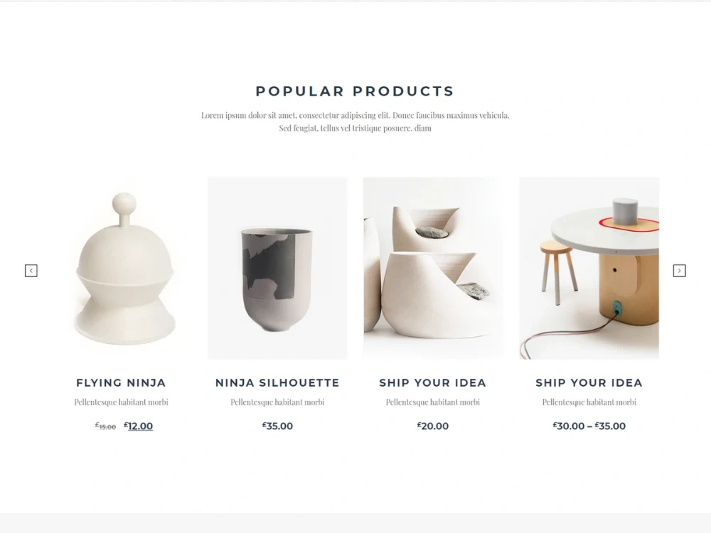 A Complete Wordpress Ecommerce Store For Your Business Upwork