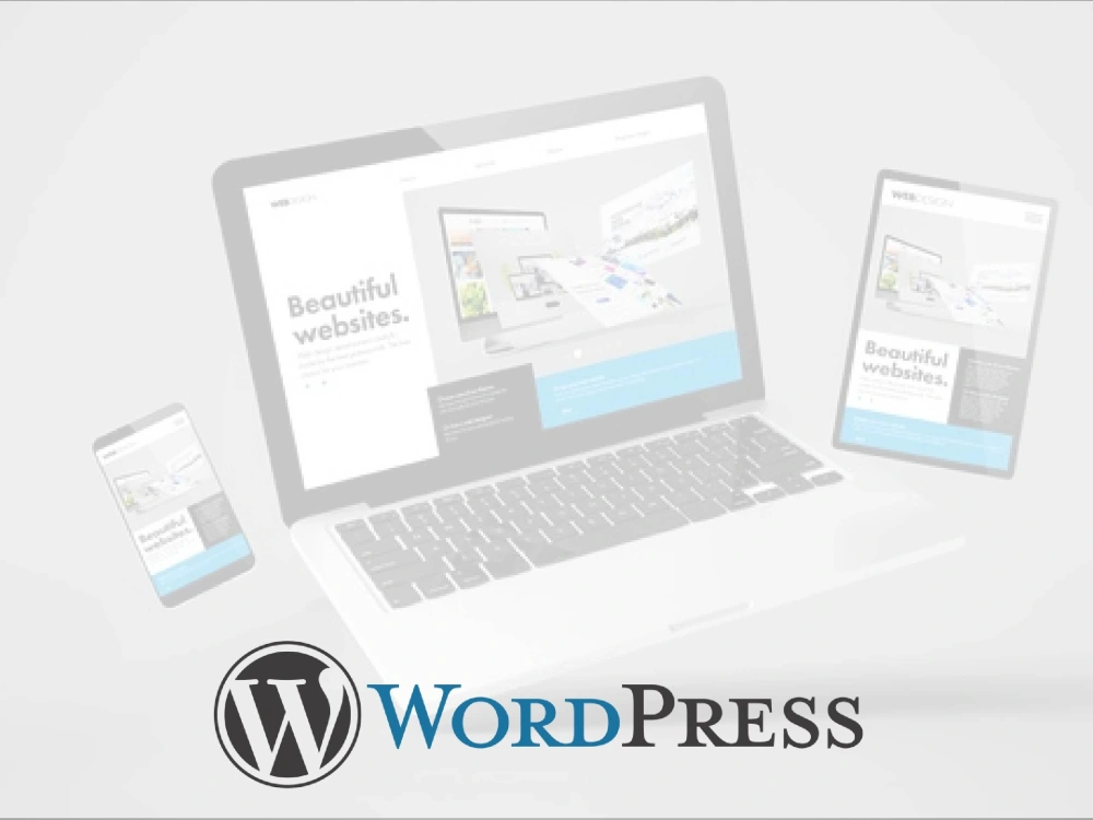 WordPress installation and Theme setup + Demo Data | Upwork