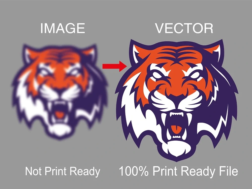 Vectorization Your Logo Or Graphic for Print & Web | Upwork