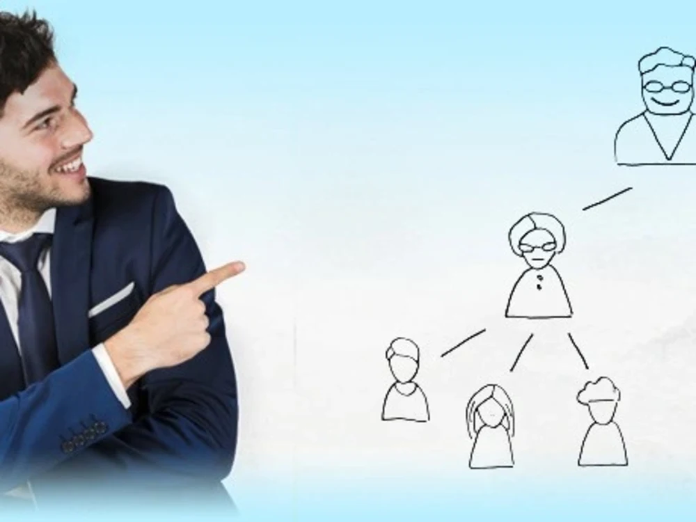 A MLM Software with a High-Performance User-Friendly Interface | Upwork