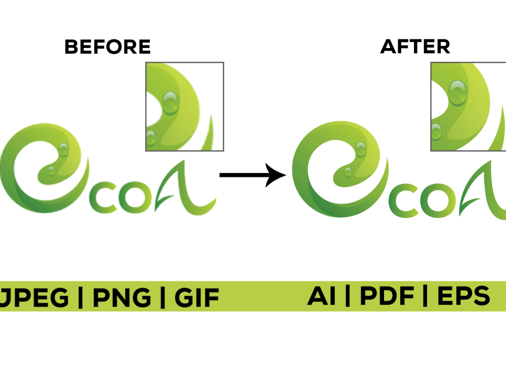 Jpeg png raster converted to vector | Upwork