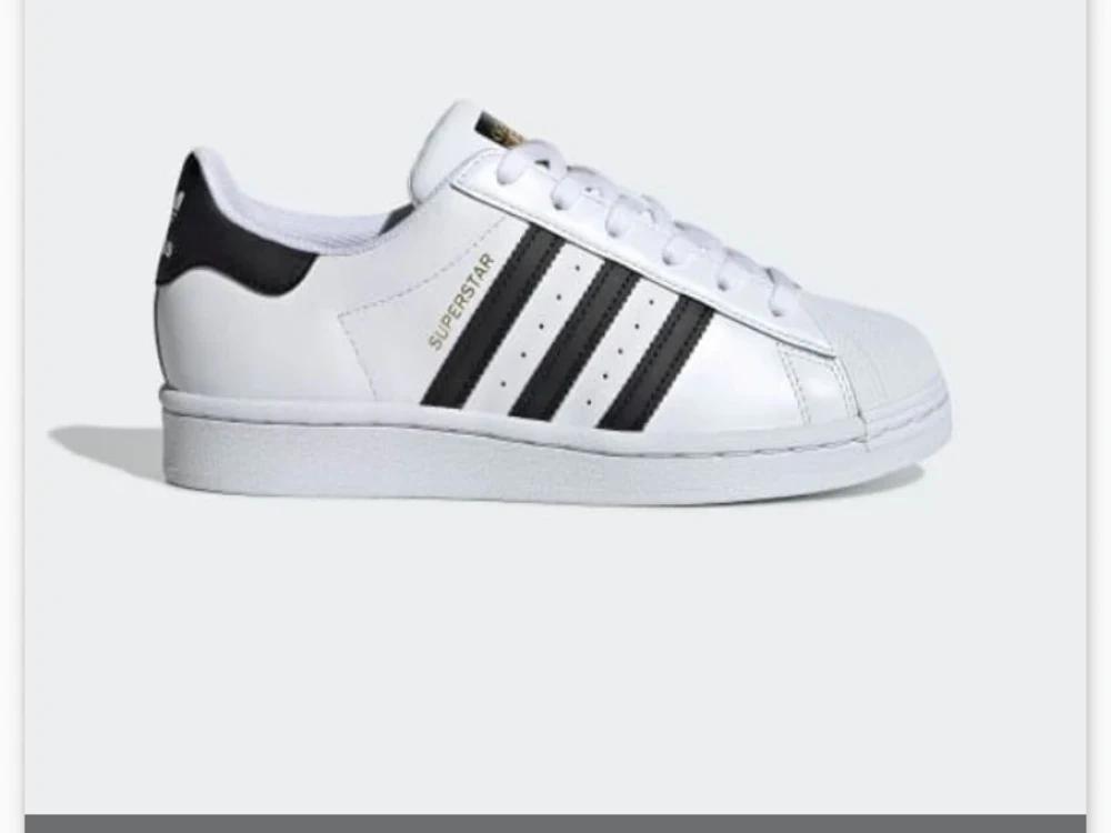 A stunning Mobile Responsive App UI in Flutter | Upwork