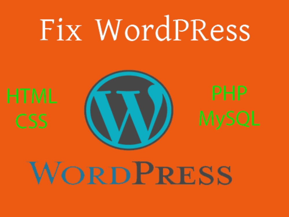 Customization Redesign Or Modification For Your Wordpress Website Upwork