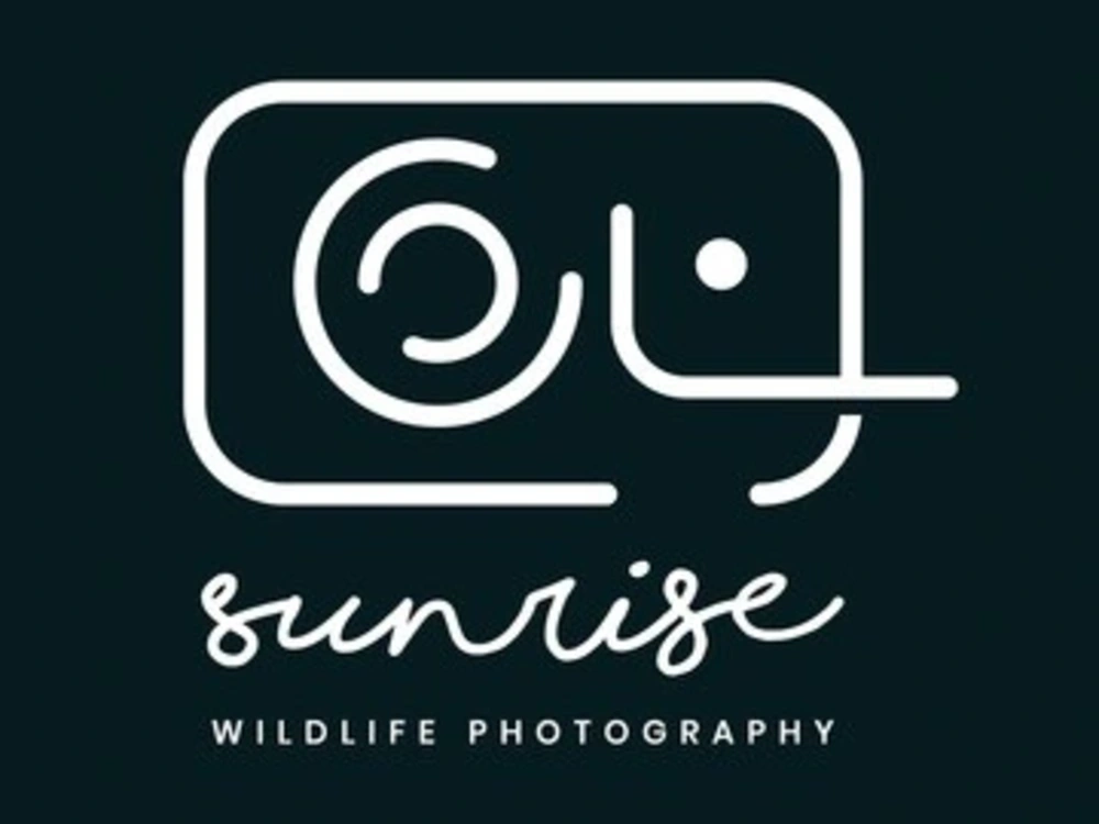 Modern Bespoke Logo Design | Upwork