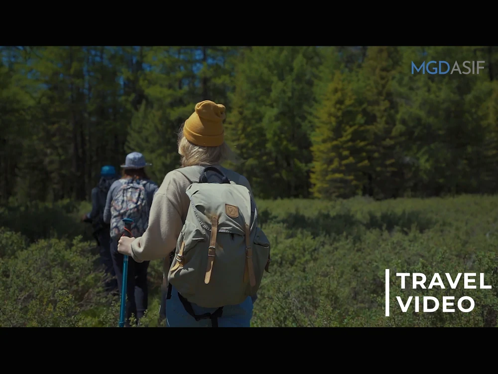 Professional video editing color grading text animation | Upwork