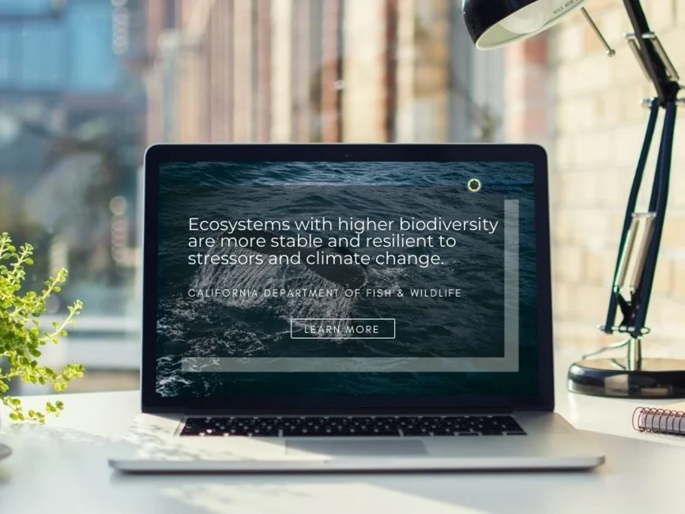 A product landing page | Upwork