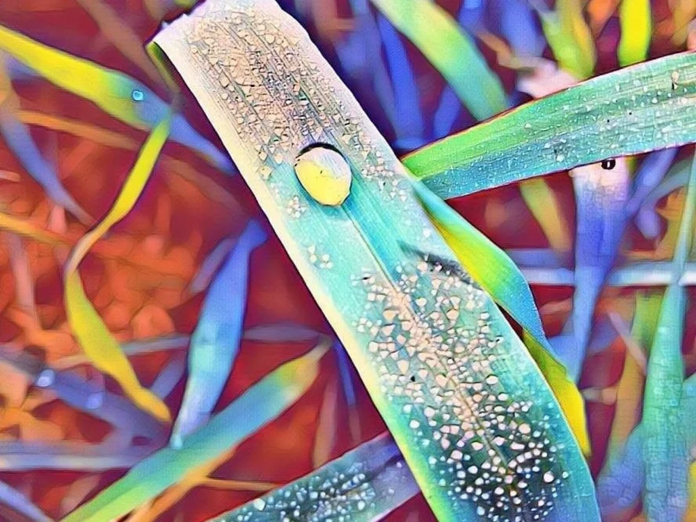 Amazingly retouched and enhanced photos here. | Upwork