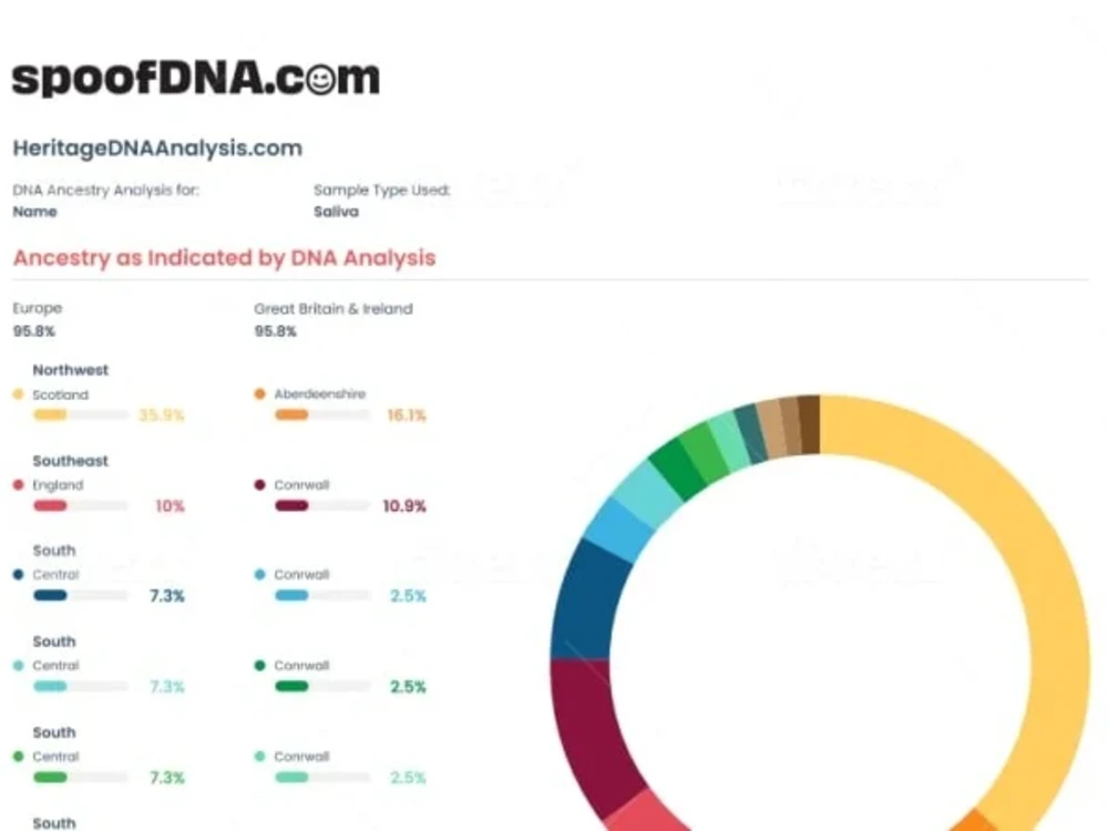 A full-stack website from scratch | Upwork