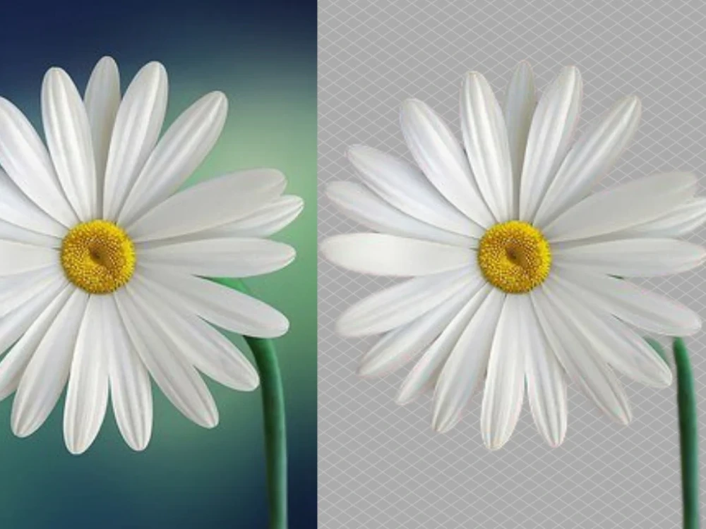 A clean background for any images you need | Upwork