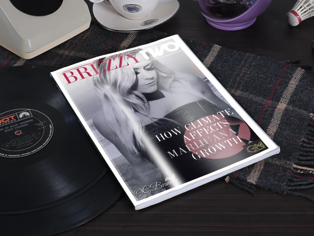 An attractive Magazine Design | Upwork