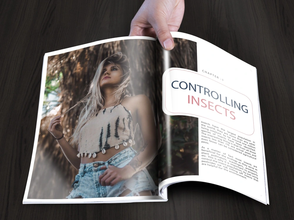 An attractive Magazine Design | Upwork