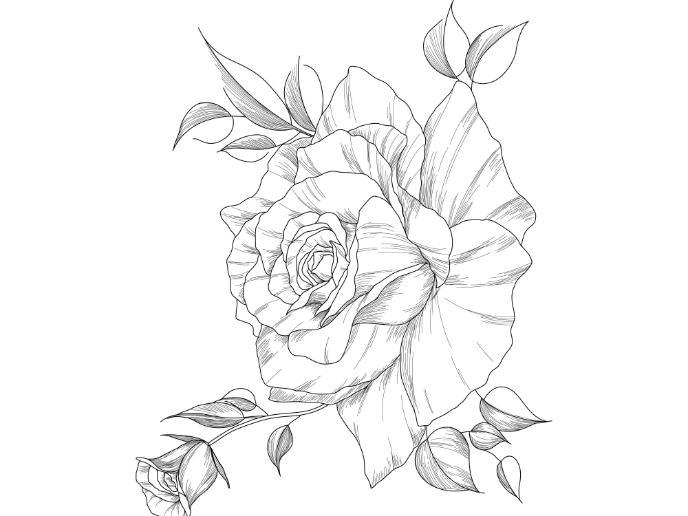 Detailed line art illustration of anything | Upwork