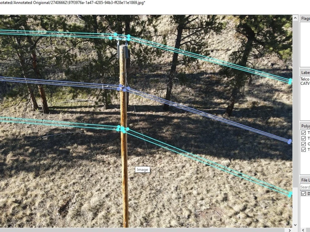 Image annotations, image tagging More professionally | Upwork