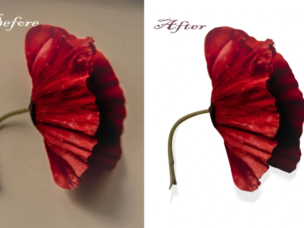 Any kind of Photo Clipping Path and Background Remove | Upwork