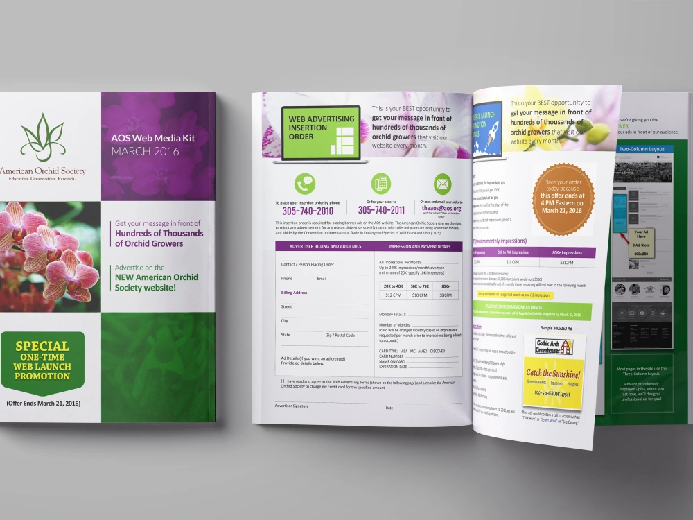 A stunning Brochure, White Paper, Report, Booklet, Flyers,for your ...