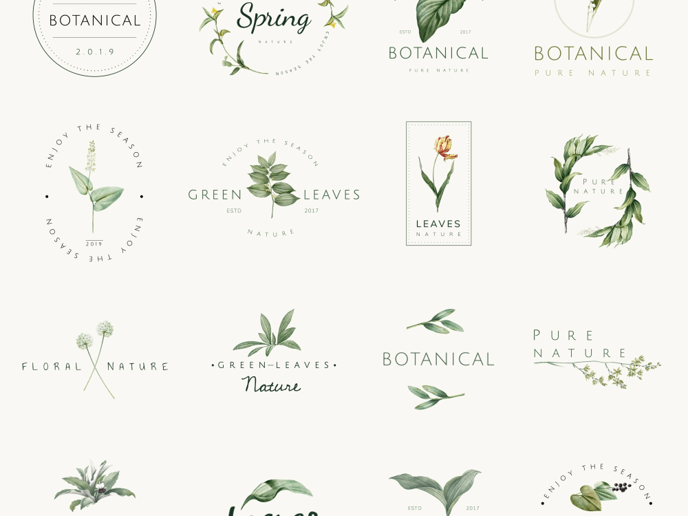 Botanical boho logo design in 24 hours | Upwork