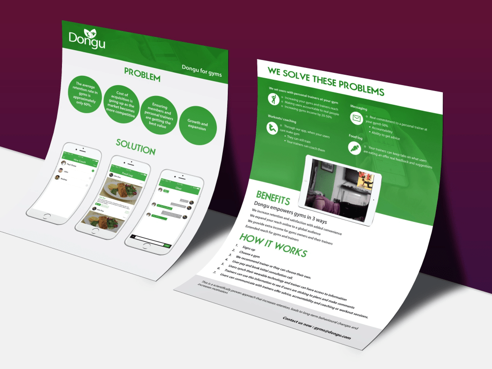 A fantastic FLYER/ONE PAGER for your business | Upwork