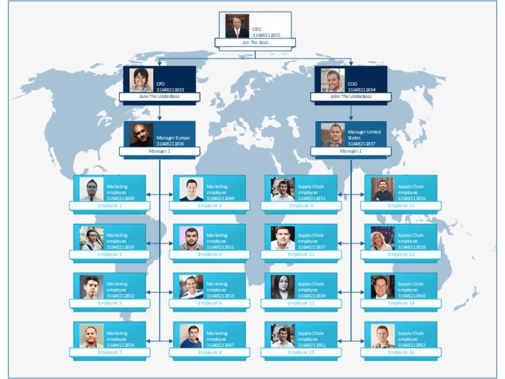 A custom designed organizational chart | Upwork