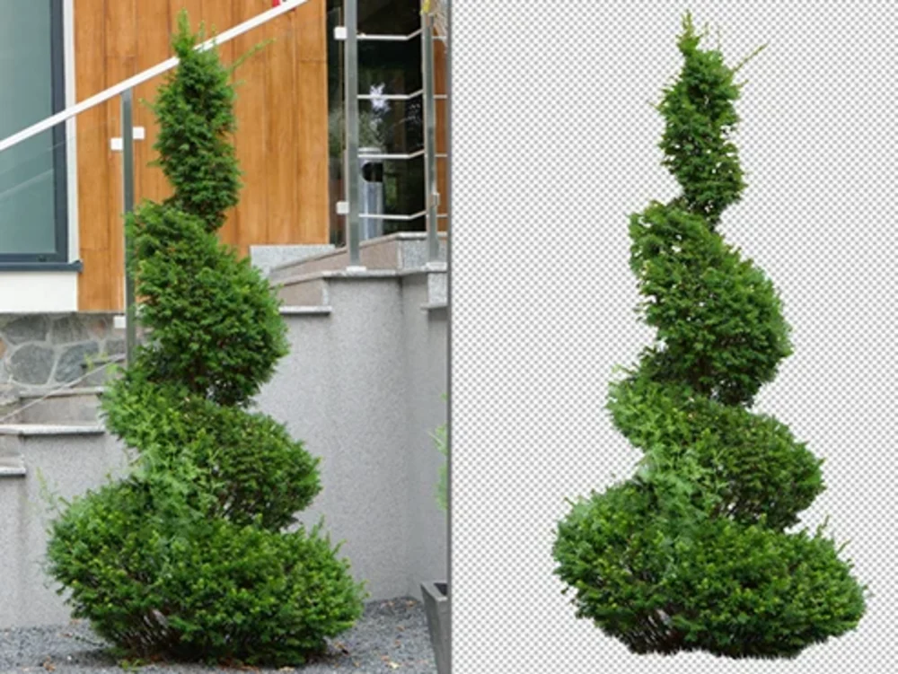 All kinds of complexity image cut out from background | Upwork