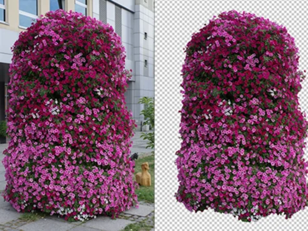 All kinds of complexity image cut out from background | Upwork