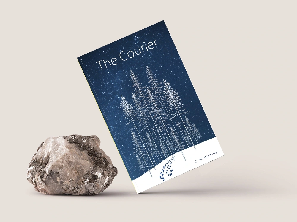 Illustrated book cover design | Upwork