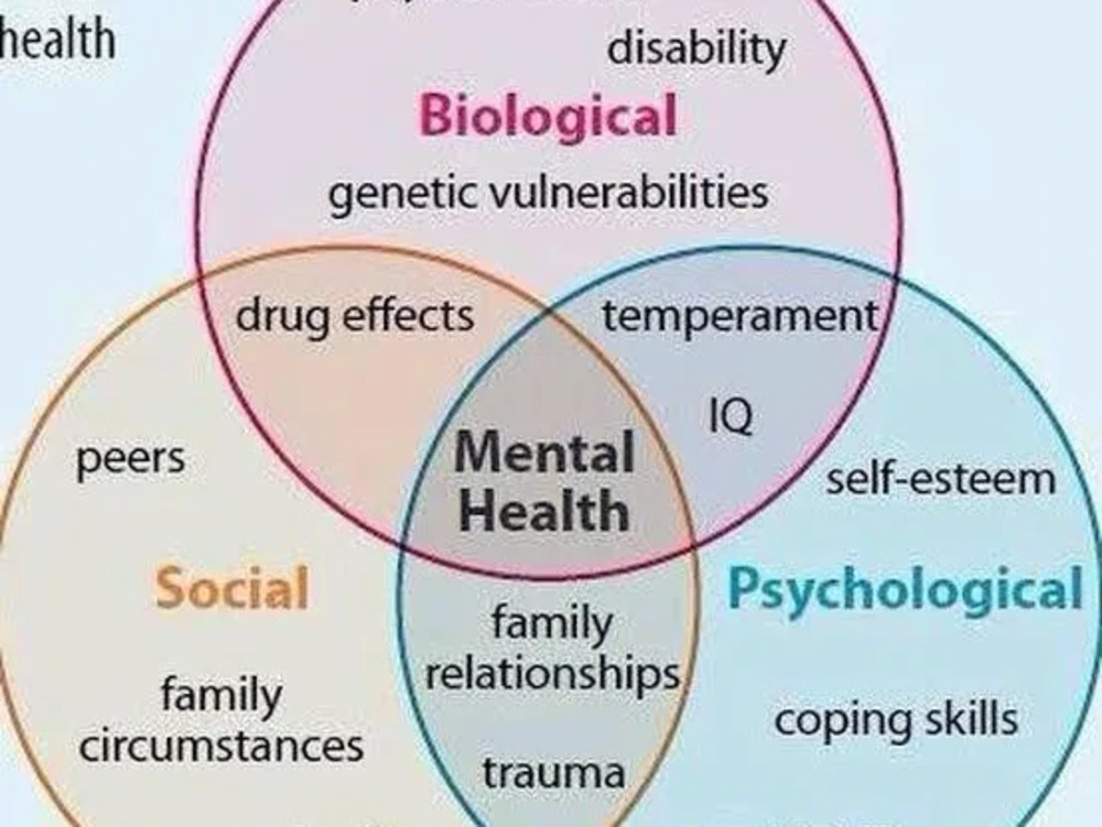 Engaging mental and emotional health articles | Upwork