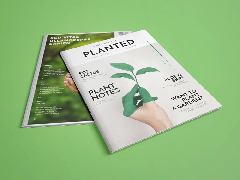 A professional catalog, line sheet, lookbook, portfolio, speaker sheet ...