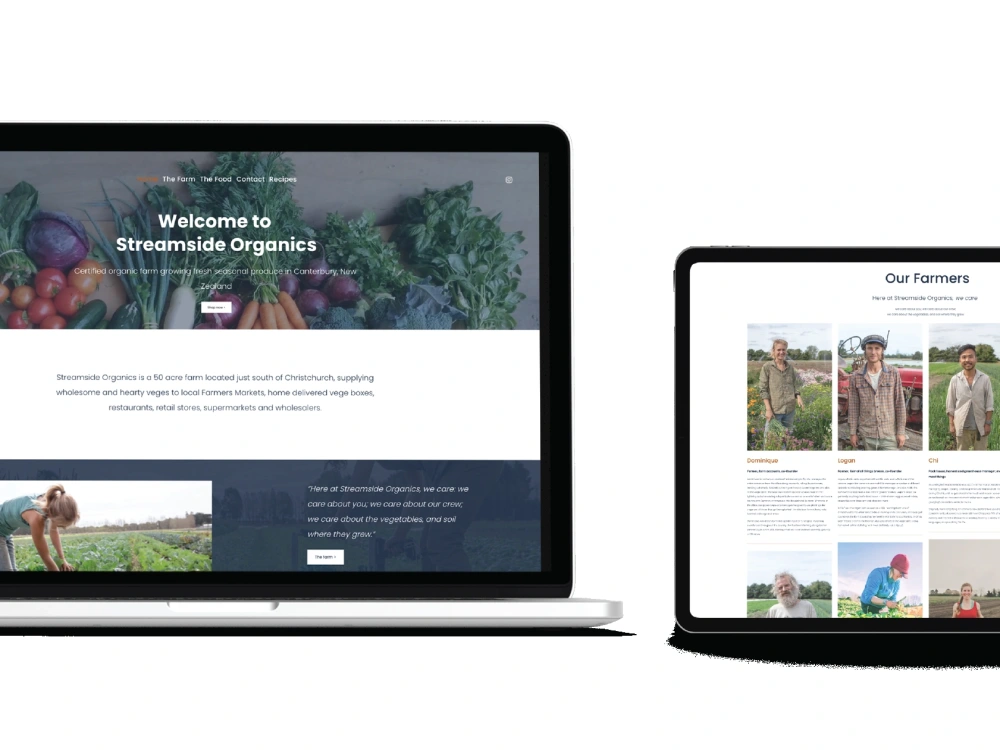 A website update with expert design consultation (Squarespace/Webflow ...