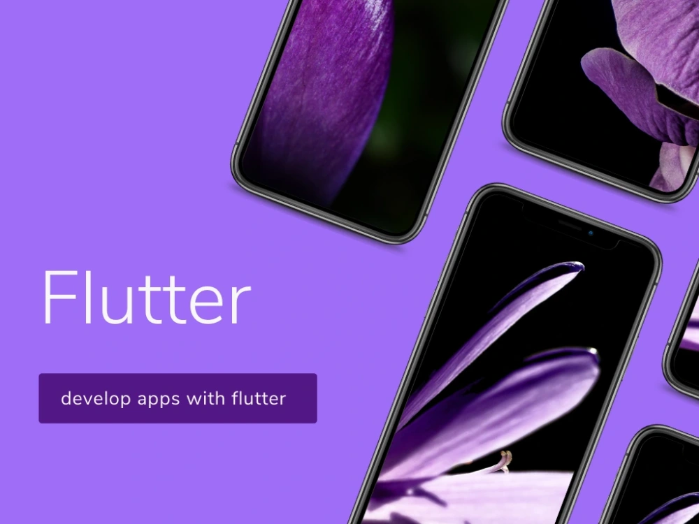 A fully functional flutter app work on ios and android | Upwork