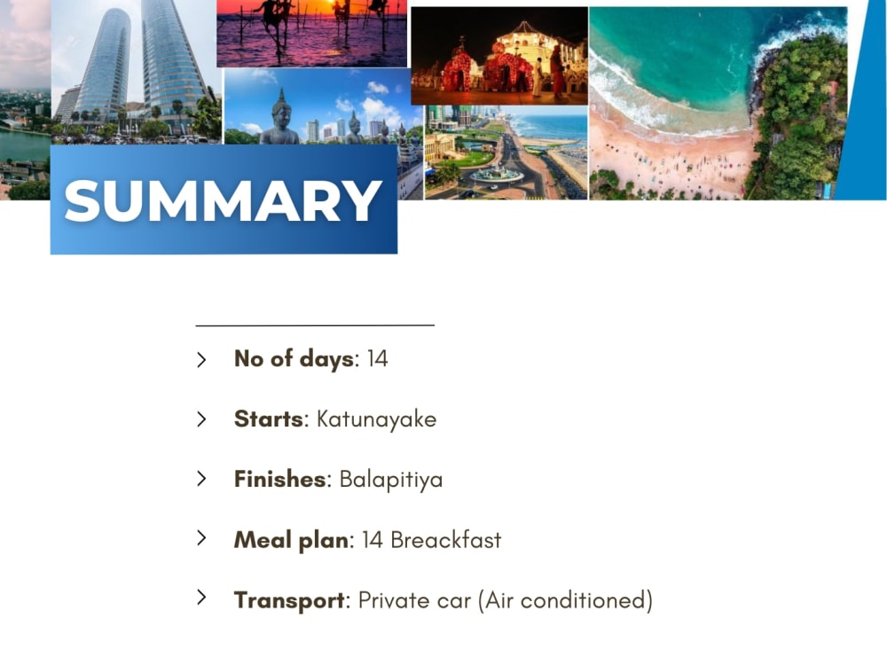 Efficient Typing Services for Accurate, Error-Free Results | Upwork
