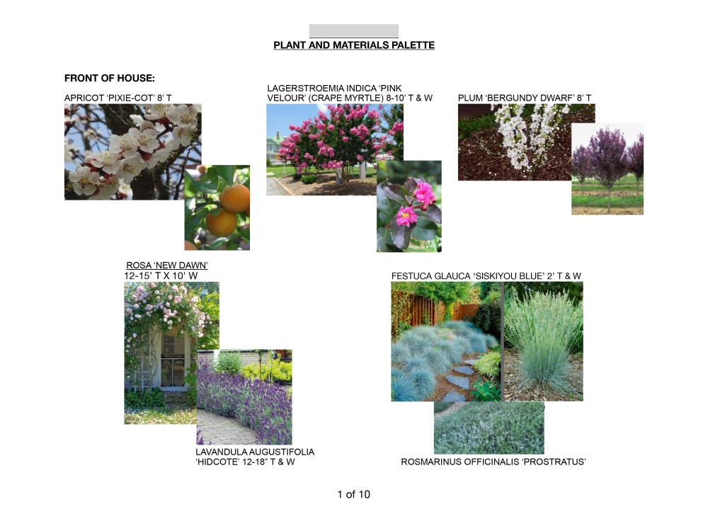 A beautiful Landscape Plan and a Plant and Material Palette. | Upwork