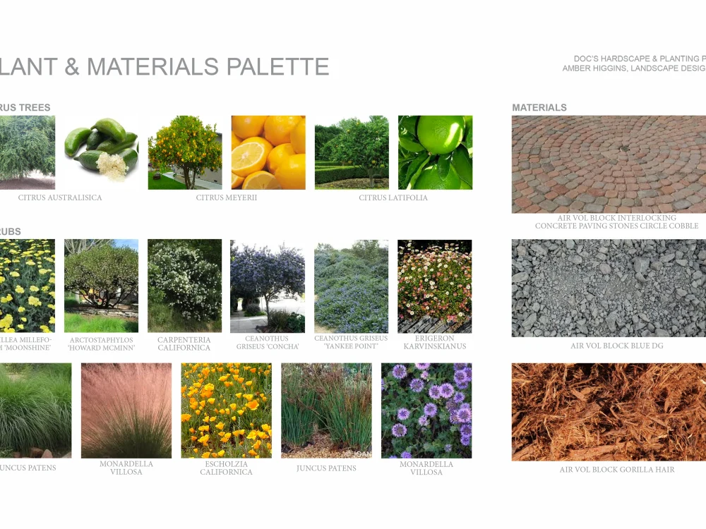 A beautiful Landscape Plan and a Plant and Material Palette. | Upwork