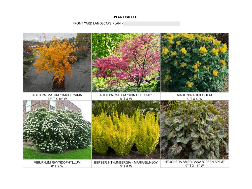 A beautiful Landscape Plan and a Plant and Material Palette. | Upwork