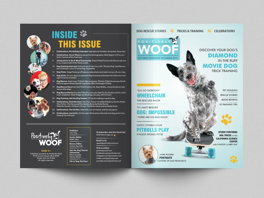 A Professional Magazine cover and Magazine layout Design | Upwork