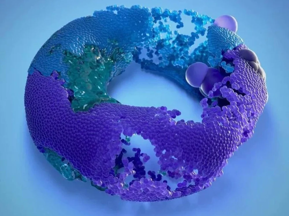 An awesome realistic 3D animation | Upwork