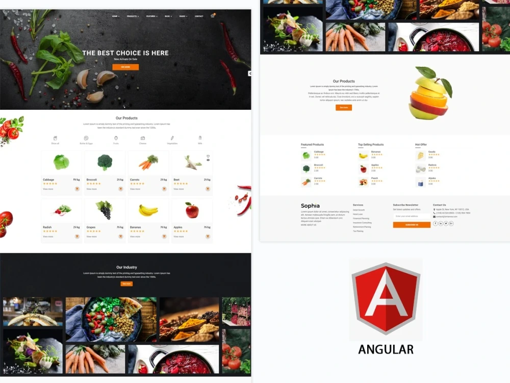 An Extensive Web Application Using Angularjs Upwork