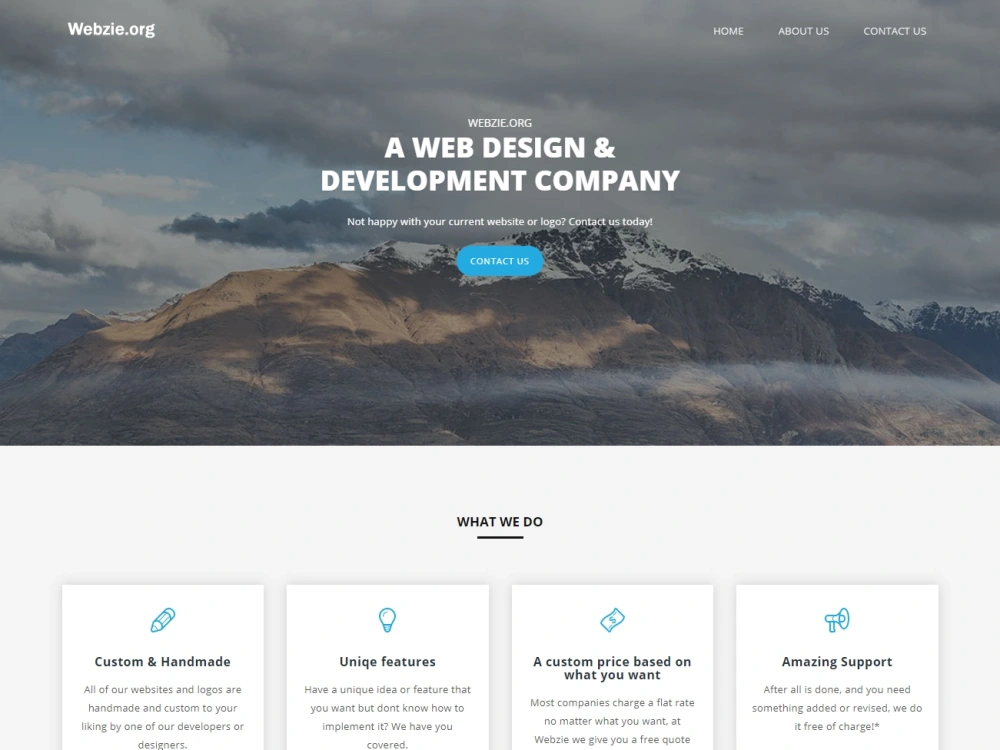 Professionally Designed & Developed Website | Upwork