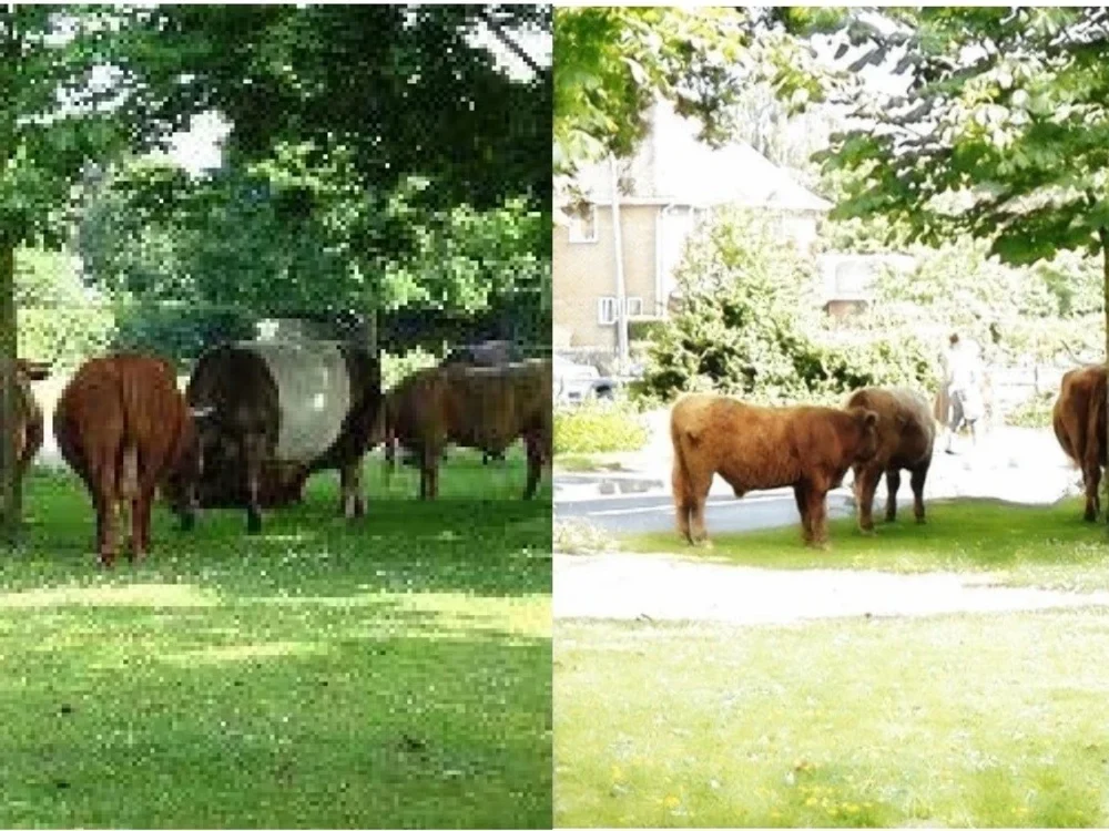 A SuperResolution Machine Learning | Computer Vision model. | Upwork