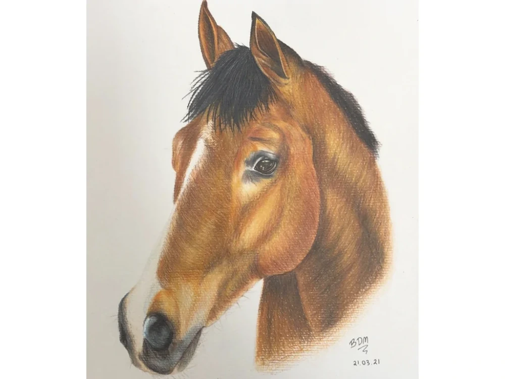 An amazing realistic drawing based on a picture | Upwork