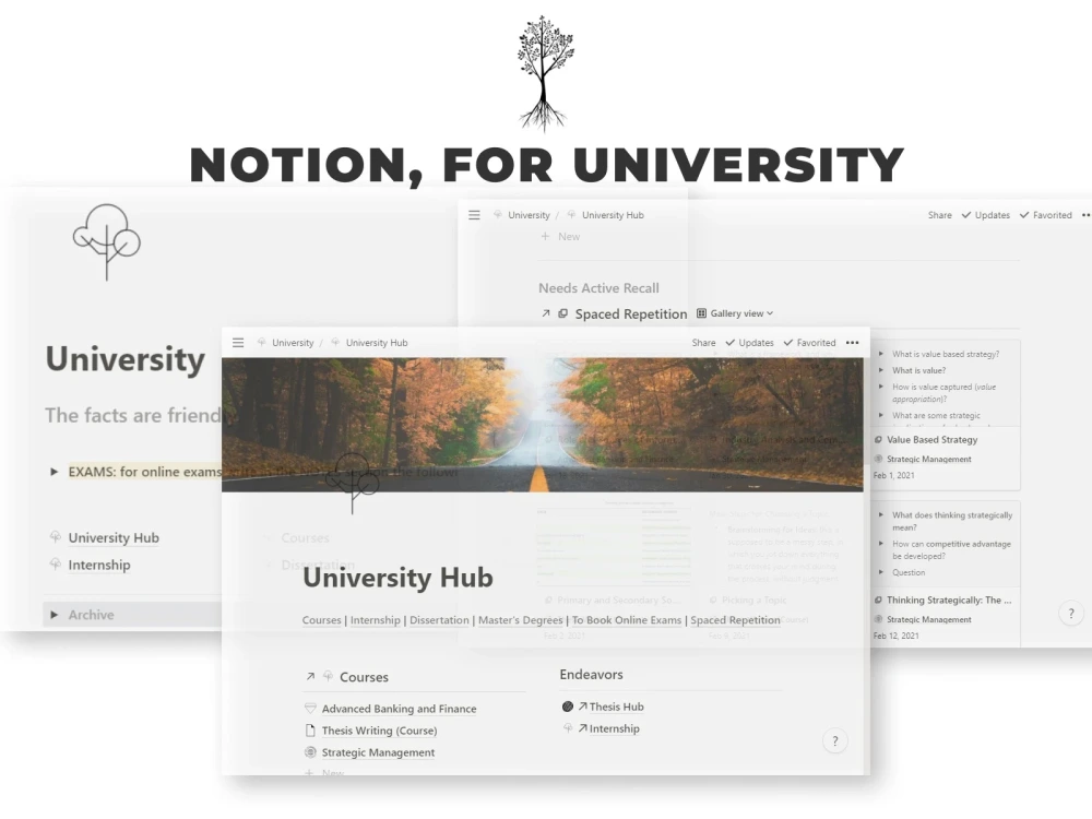 A centralized, organized Notion system for your company/team/yourself ...