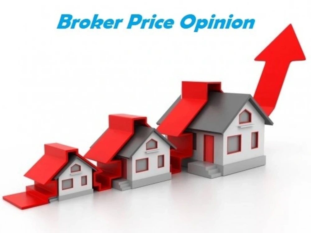 A all kind of BPO reports, Underwriting and real estate related ...