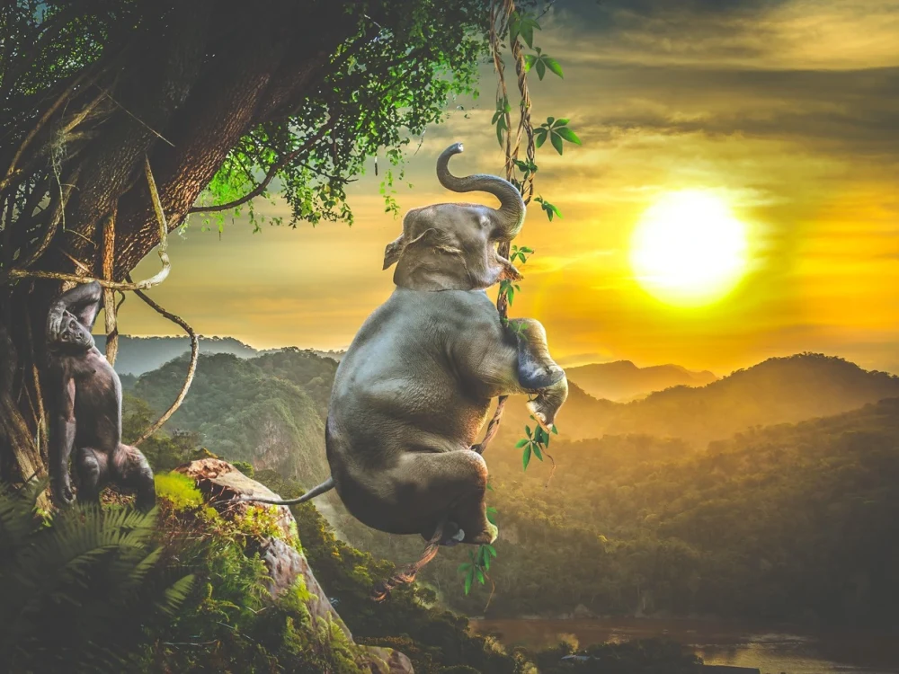 Photo manipulation surreal digital art | Upwork